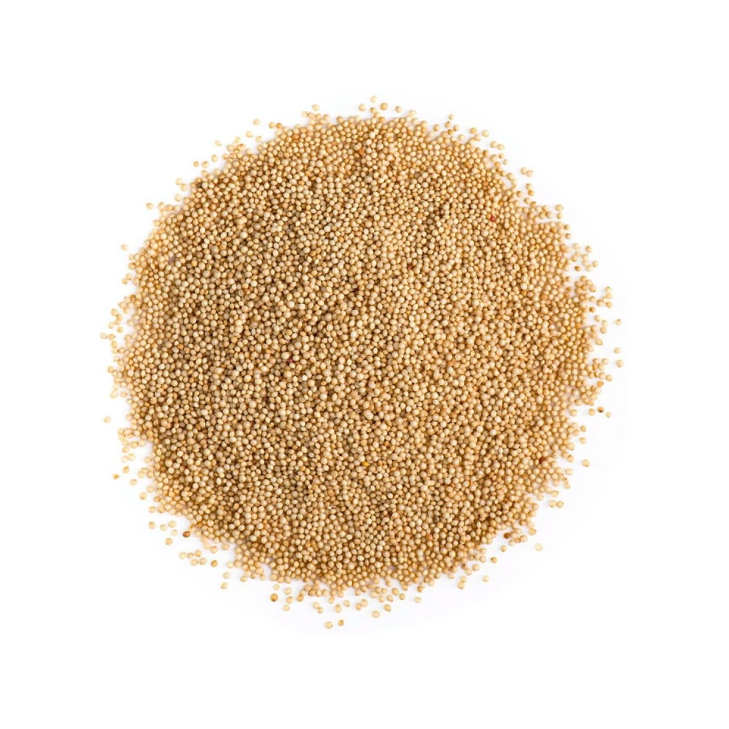 Organic Amaranthus Whole /Chaula/Rajgira/Amaranth - Rattan Organic ...