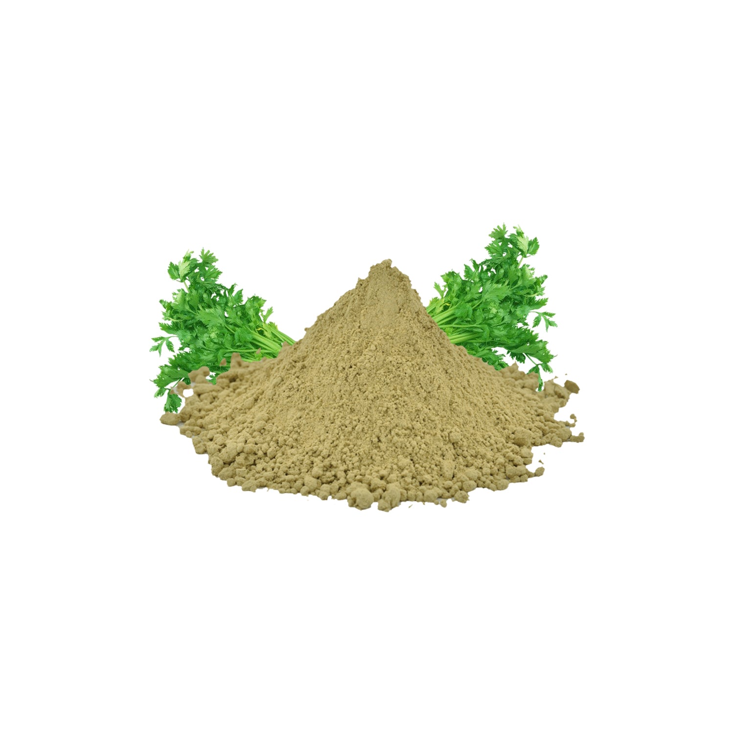 Organic Celery Powder – rattanorganicfoods